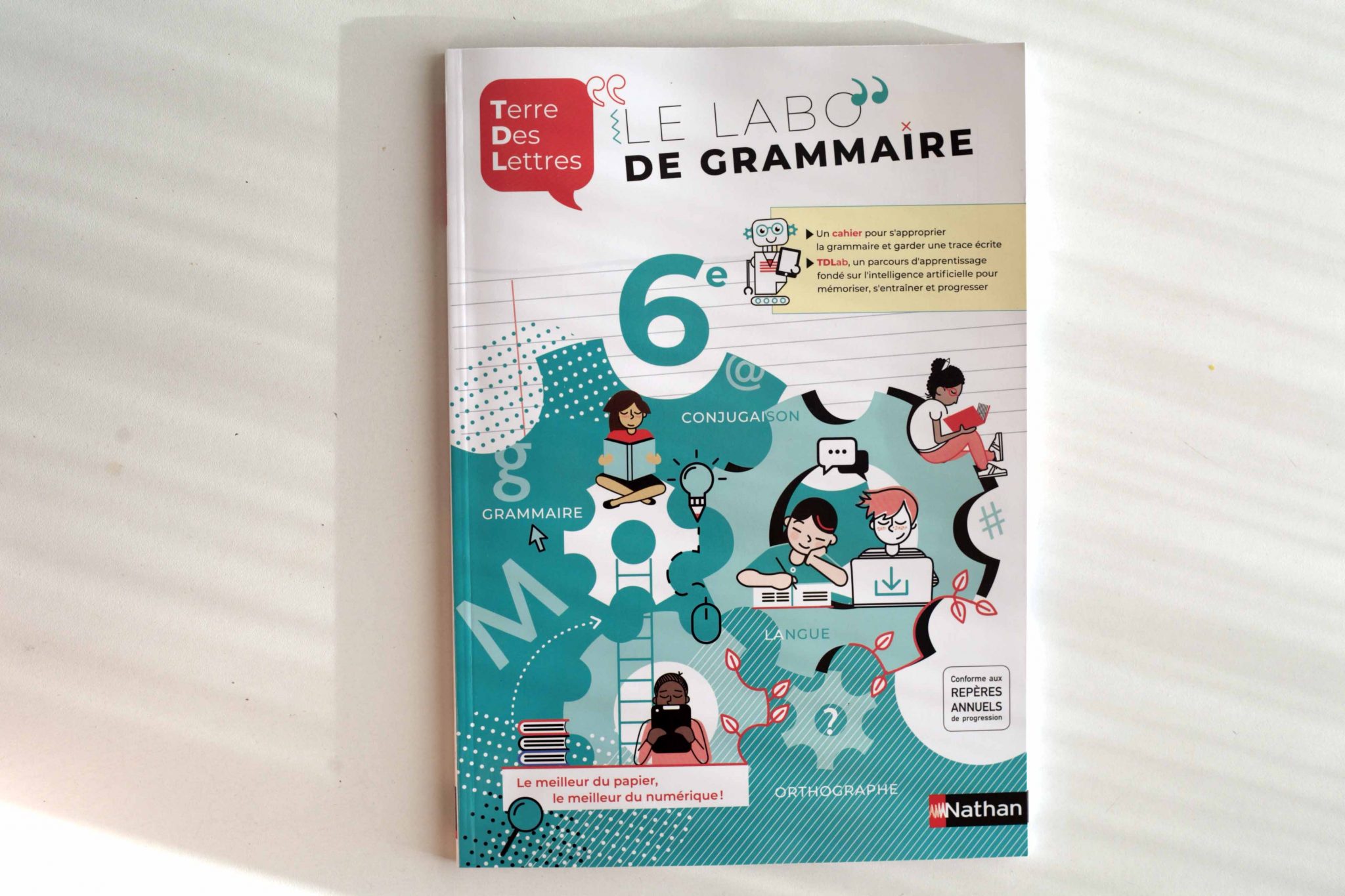 Le Labo De Grammaire 5E Un Guide Pédagogique Pour Maîtriser La ...